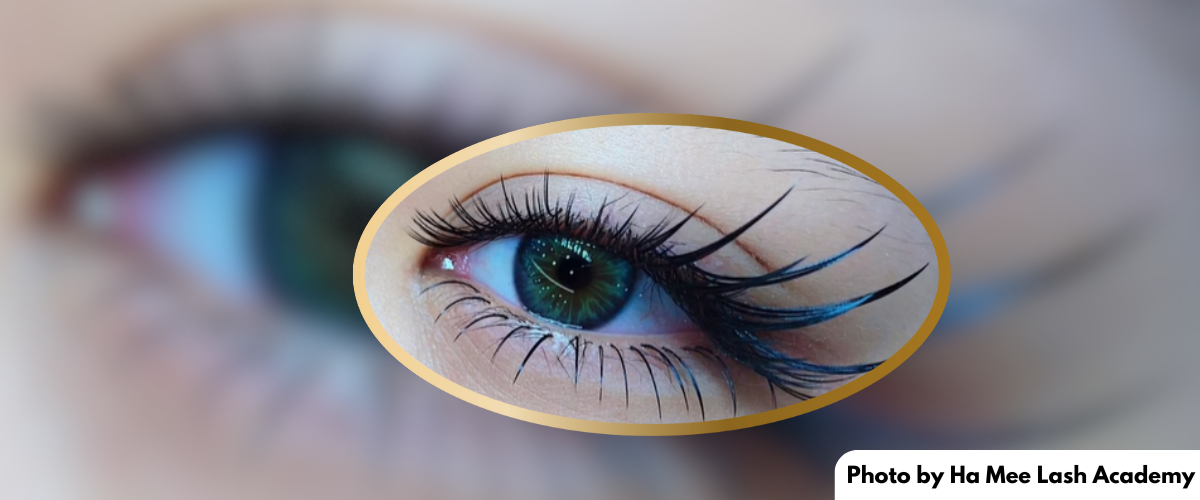 Everything you need to know about the Phoenix Style Lashes I Prolong ...